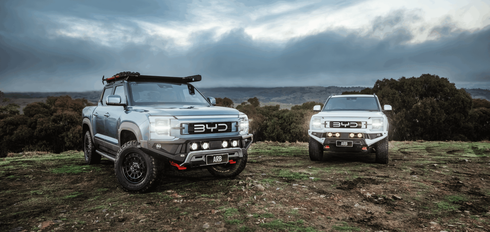 BYD Shark 6 2024-Present | Bull Bars | ARB 4x4 Accessories